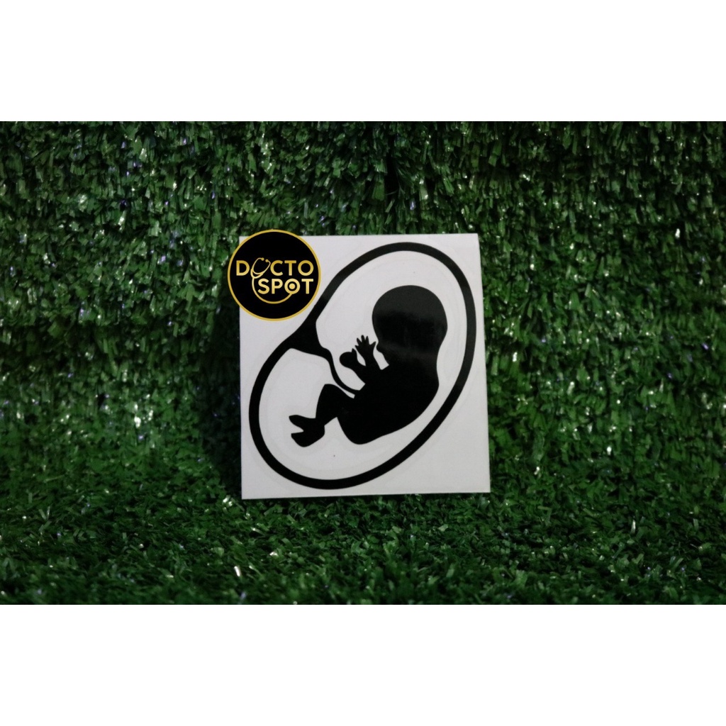 Jual Sticker / Stiker Fetus / Obgyn /Janin ( Untuk Dokter Mahasiswa ...