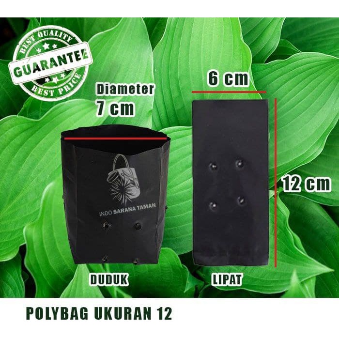 Jual PLASTIK POLYBAG UKURAN 12 - 60 1kg | Plastik Polibag | Plastik ...