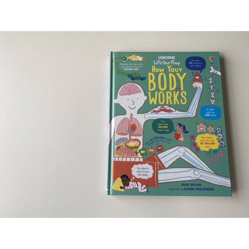Jual Usborne lift the flap how body works | Shopee Indonesia