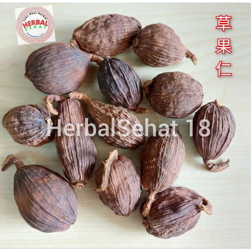 Jual Cao Guo Ren 100 Gram 草果仁 Black Cardamom Kapulaga Hitam Tsaoko ...