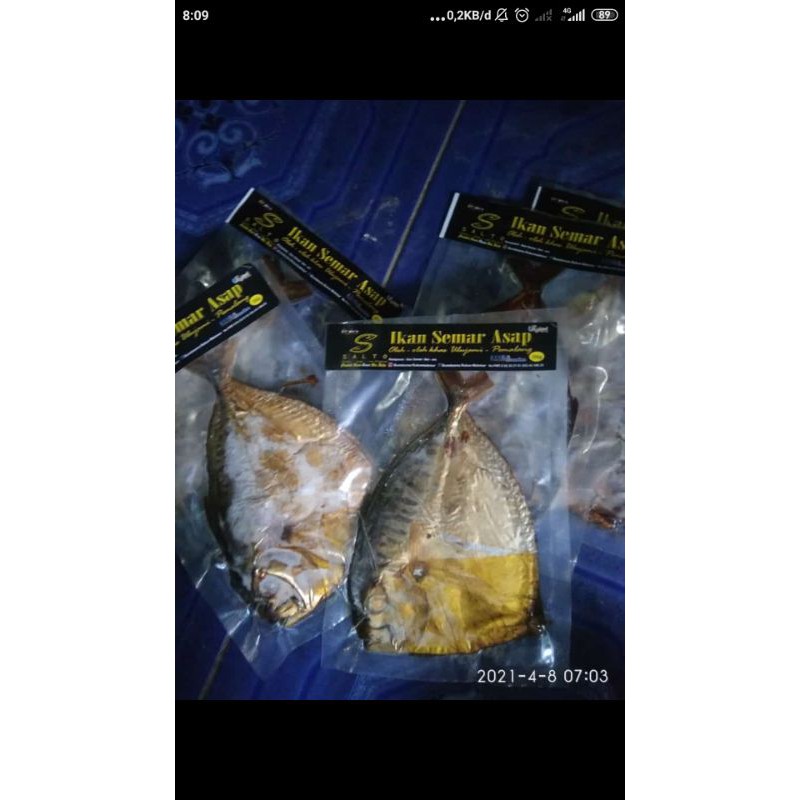 Jual ikan ani2/ ikan Bagong/ikan semar | Shopee Indonesia