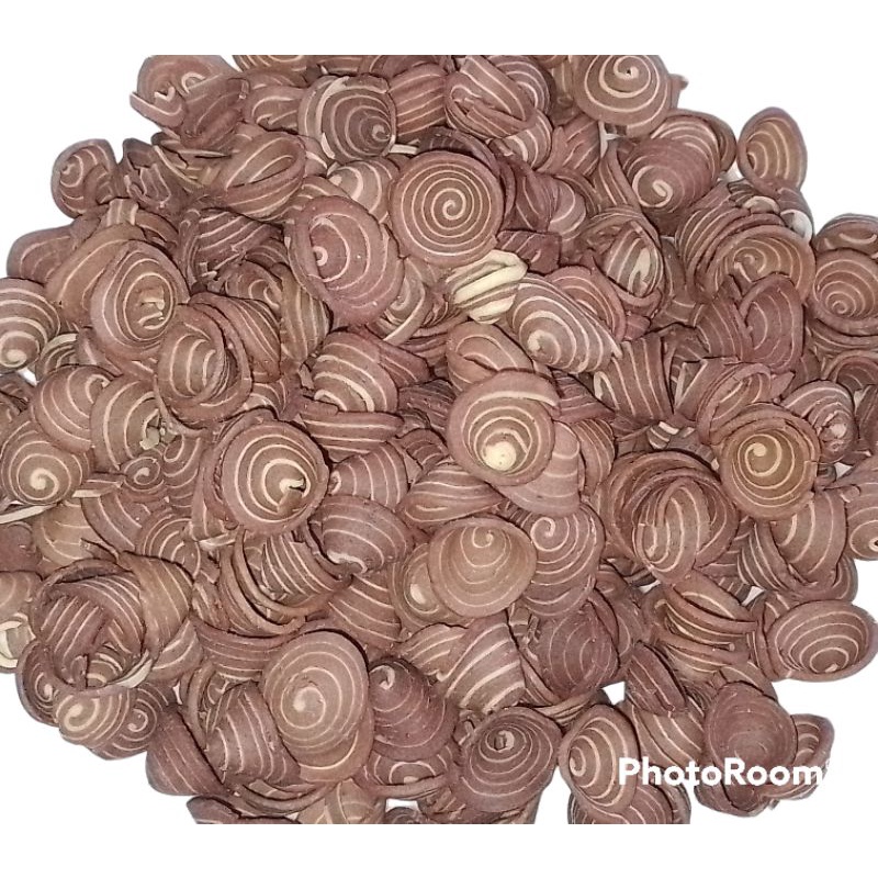 Jual KUE KUPING GAJAH COKLAT 250GR OTOKOWOK SUPER | Shopee Indonesia