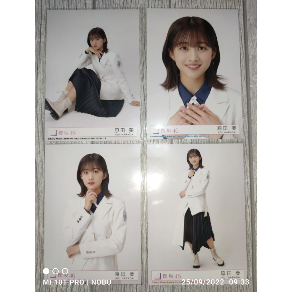 Jual Set Photopack Sakurazaka46 Samidare yo Internal | Shopee Indonesia