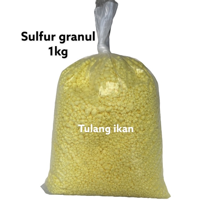 Jual Sulfur Granular / Sulphur / Belerang Granul 1KG | Shopee Indonesia