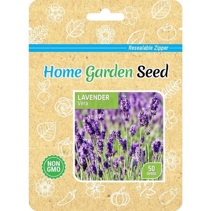 Jual Benih Lavender Vera - Bunga Lavender - Home Garden Seed | Shopee ...