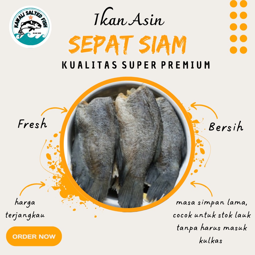 Jual IKAN ASIN SEPAT SIAM 500 GRAM | Shopee Indonesia