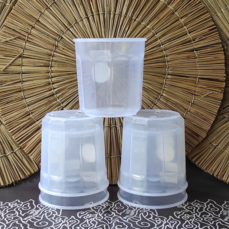 Jual Pot Bening | Shopee Indonesia