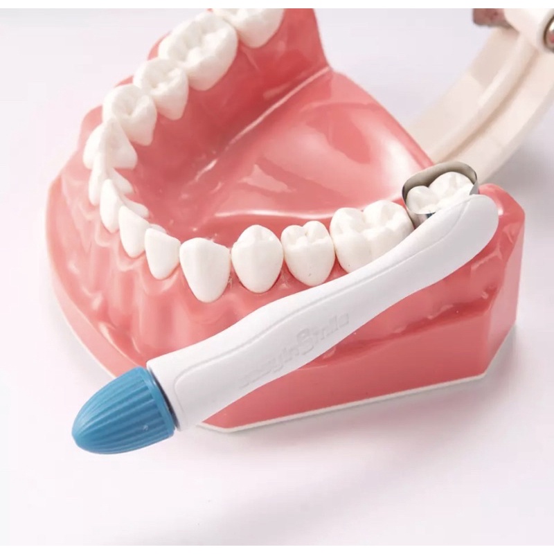 Jual pro matrix universal disposable / matrix band universal | Shopee ...