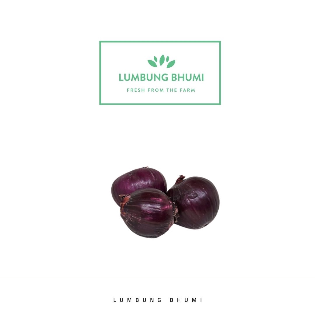 Jual Lumbung Bhumi - Bawang Bombay MERAH KUPAS 400 Gr ( Sayur Curah ...