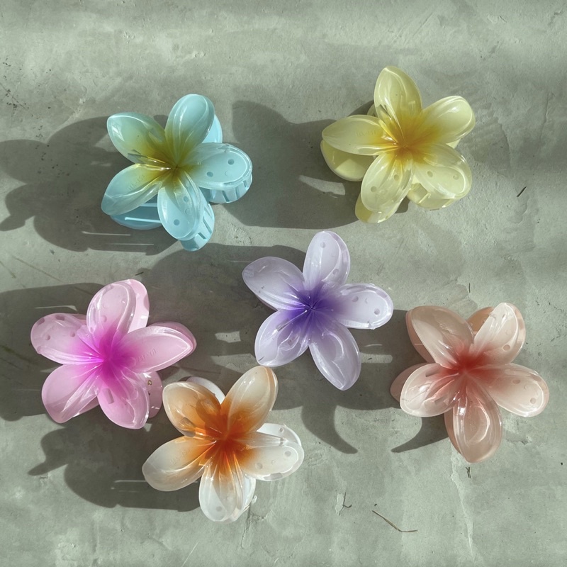 Jual Flor Summer Hair Claw / flower gradient hairclaw bunga jepitan ...