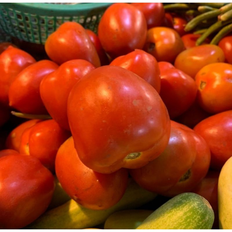 Jual TOMAT MERAH SEGAR / RED TOMATO FRESH 500 GRAM/PACK | Shopee Indonesia
