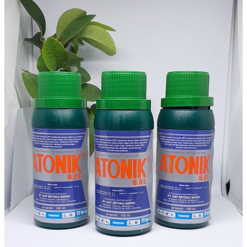Jual ATONIK 6,0L vitamin - hormon penggemuk akar batang daun anggrek ...