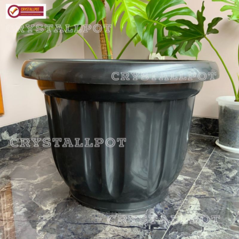 Jual POT BUNGA TANAMAN PLASTIK 50 HITAM KUPING BAHAN TEBAL - JUMBO 50 ...