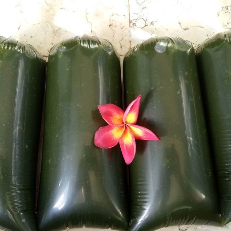 Jual DALUMAN 1 KG / CINCAU HIJAU DALUMAN SEGAR 1 KG | Shopee Indonesia