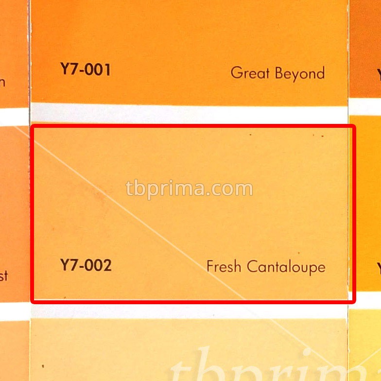 Jual No Drop Tinting Y7-002 Fresh Cantaloupe 4 kg | Shopee Indonesia