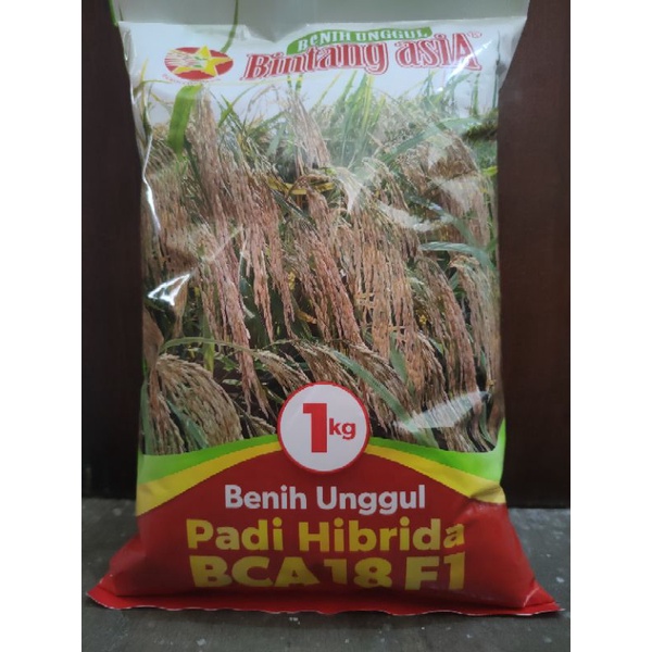 Jual Benih Padi Hibrida BCA 18 F11kg exp maret 2025 | Shopee Indonesia