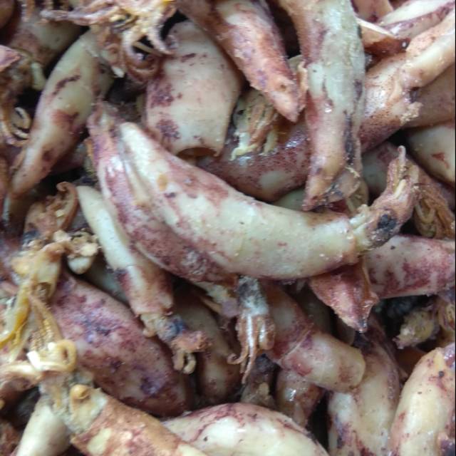 Jual Cumi telor kering Medan super,berat 250 gram | Shopee Indonesia