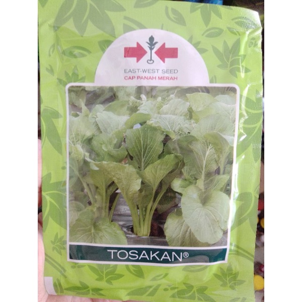 Jual (COD)BENIH CAISIM/SAWI HIJAU/CESIM/TOSAKAN PANAH MERAH | Shopee ...