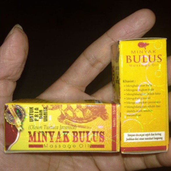 Jual Minyak Bulus Murni Original | Payudara Kencang Besar | Shopee ...