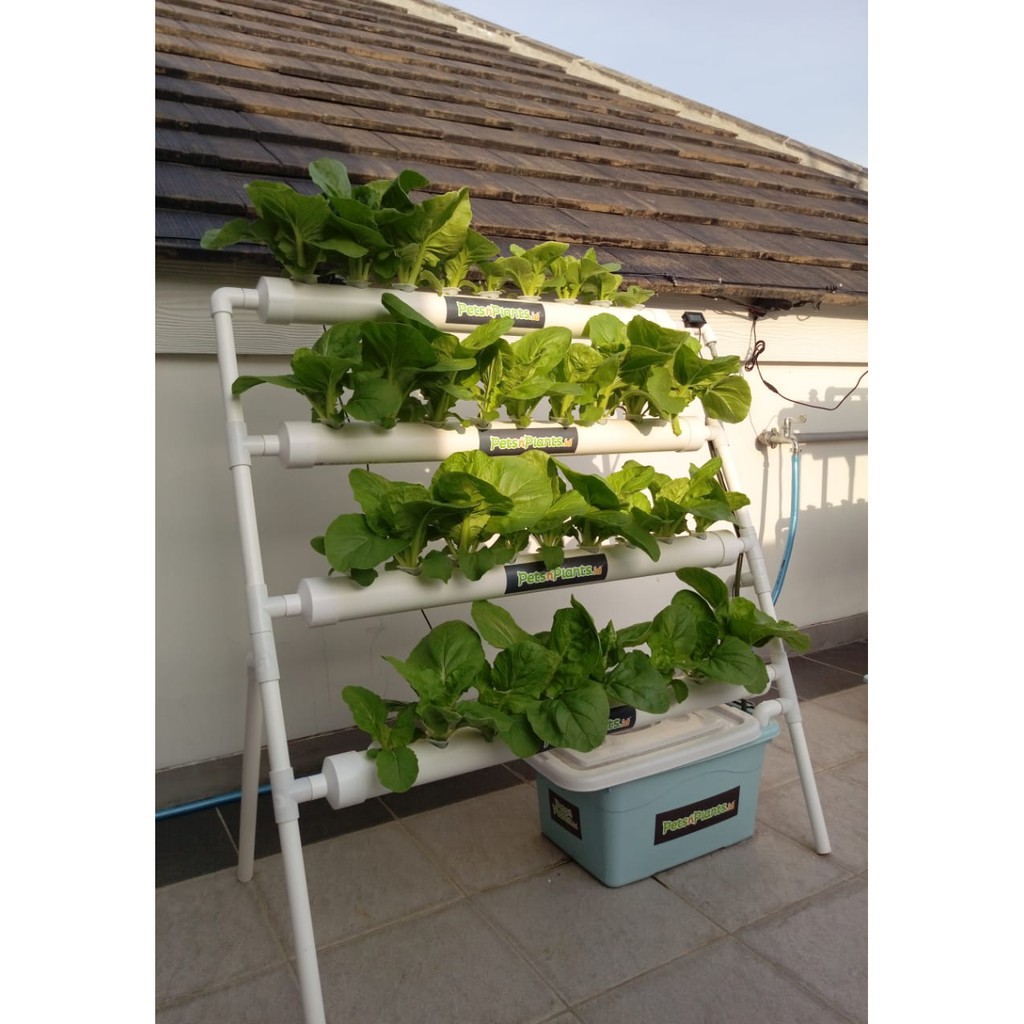 Jual HYDROPONIC COMPLETE SET DFT PVC-U FOOD GRADE 2,5 INCH IMPORT 36 ...