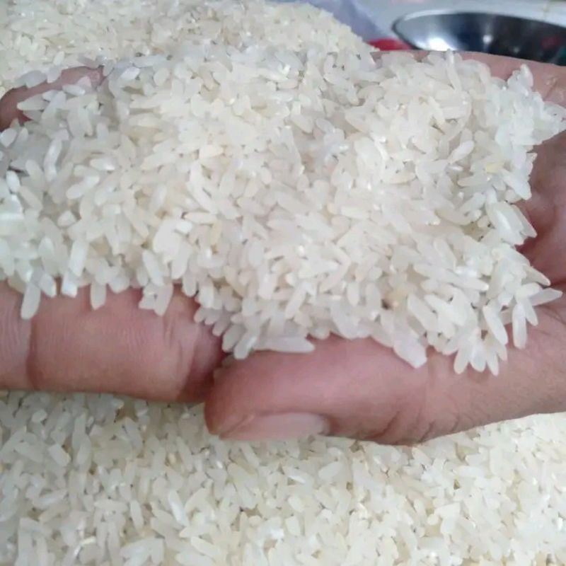 Jual Beras Petani Selep Curah Murah Beras Panen Sendiri 1 Kg | Shopee ...