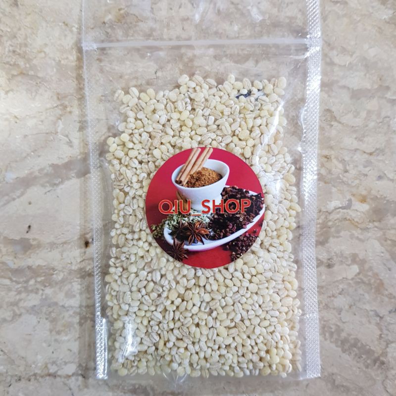 Jual Jali jali , Hanjali , Jelai , Barley , Jali Impor impor Holland ...