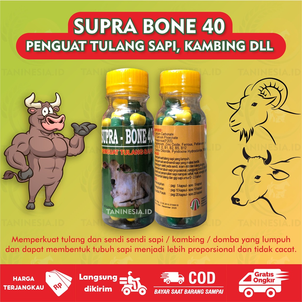 Jual SUPRA BONE 40 KAPSUL PENGUAT TULANG HEWAN TERNAK OBAT SAPI KAMBING ...
