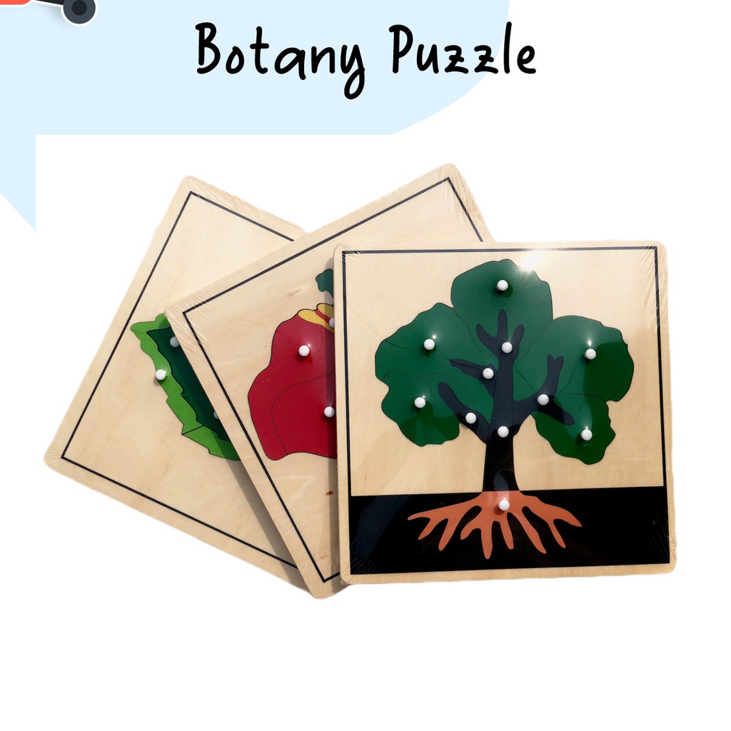 Jual Botany Puzzle Montessori Belajar Tumbuhan Plant Botany | Shopee ...