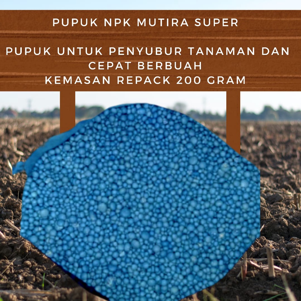 Jual Pupuk npk mutira super 200 gr | Shopee Indonesia