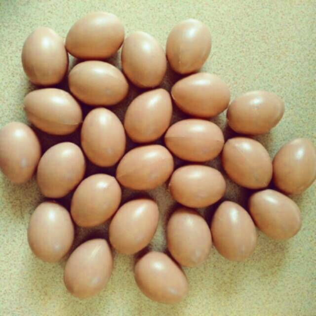 Jual Mainan Telur Ayam DAN Bebek/ Telur Teluran/ Telor Mainan/ Mainan ...