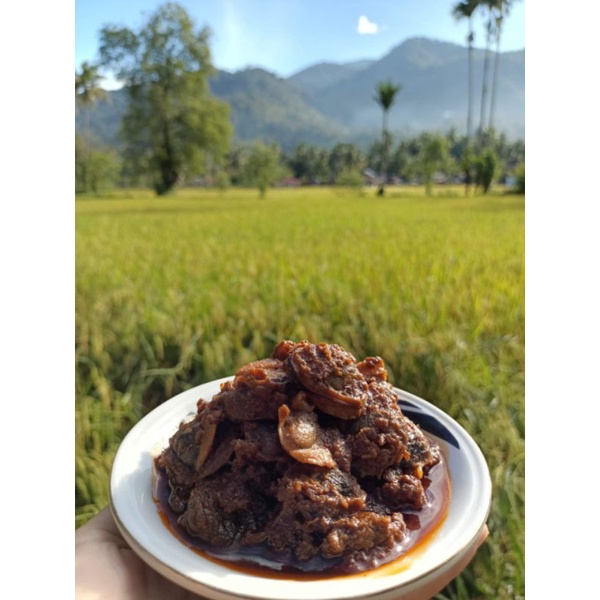 Jual Rendang daging asli padang/rendang lokan/rendang pakis/rendang ...
