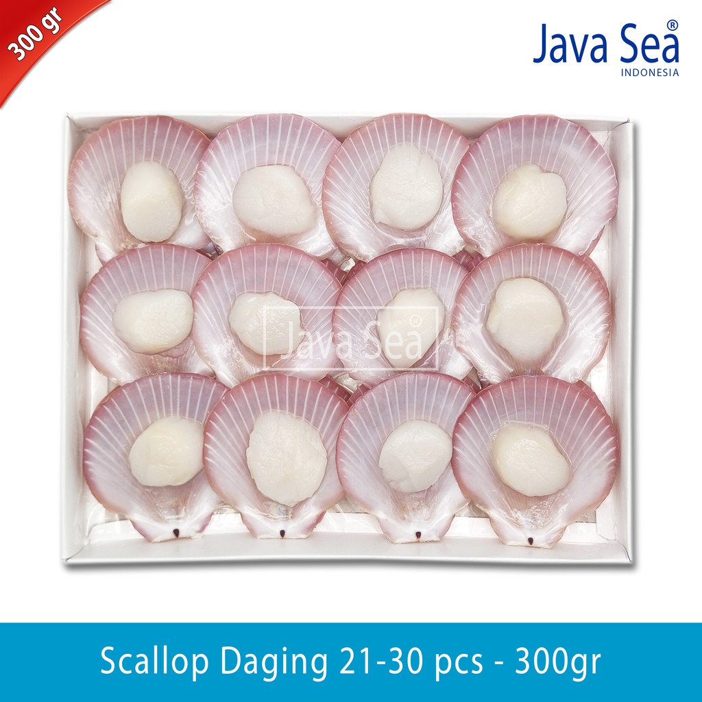 Jual Scallop Cangkang Daging 21-30 pcs pack 300gr Java Sea | Shopee ...