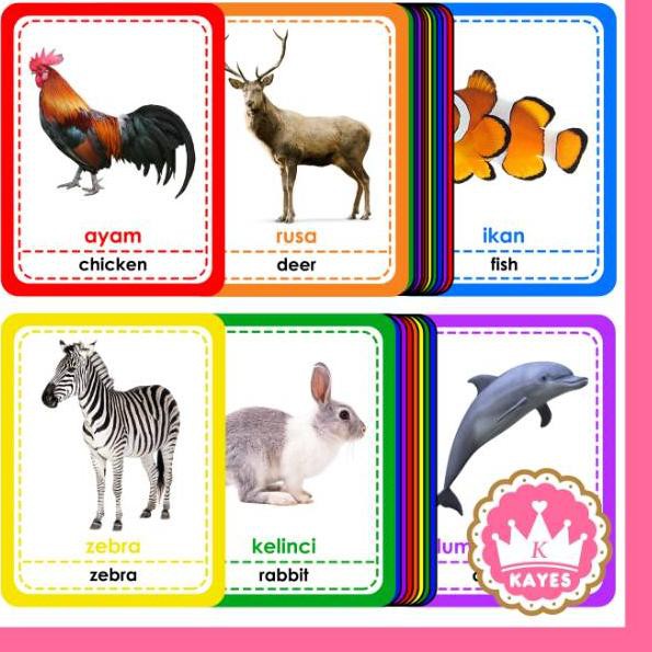 Jual Update Penampilan Flashcard Hewan Binatang (Kartu Bayi Pintar ...