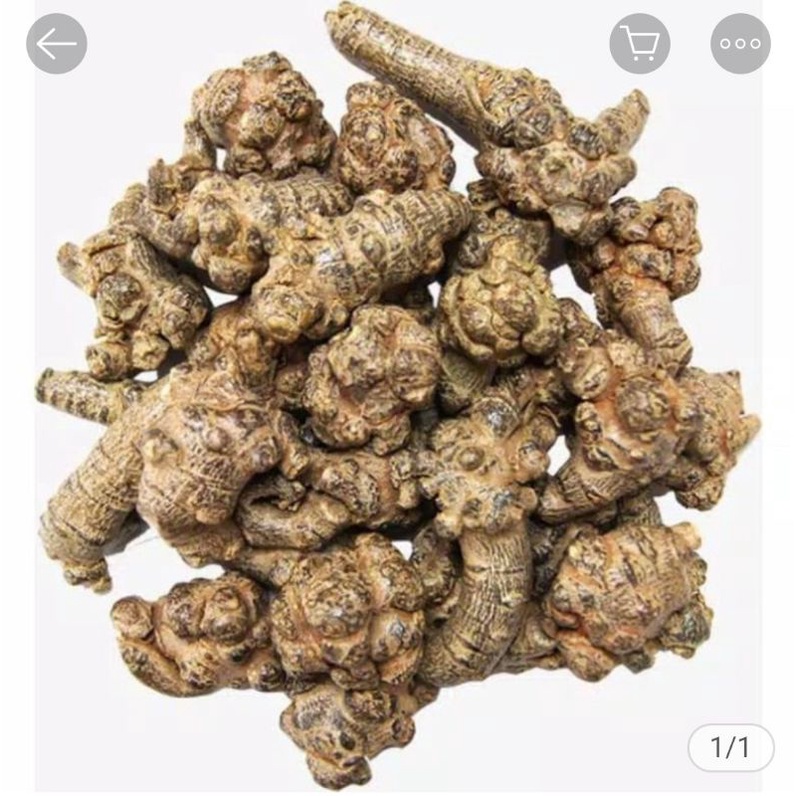 Jual 300 G GR GRAM 田七 三七 TIAN SAN QI CHI PANAX NOTOGINSENG NOTO GINSENG ...