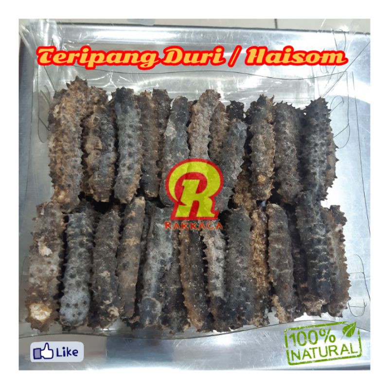 Jual Tripang Duri Bersih 500 gram Vaccum Pack Haisom Kering | Shopee ...
