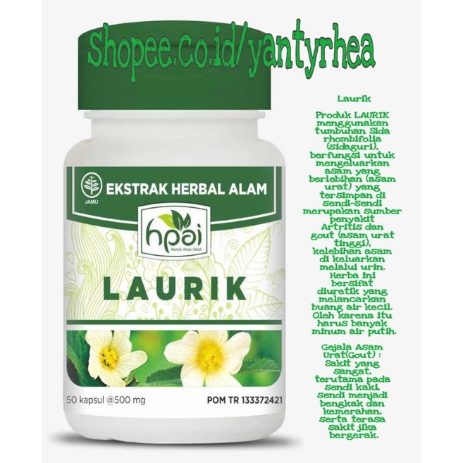 Jual Laurik HNI-HPAI/Herbal-Obat Asam Urat/Herbal-Obat Rematik/Reumatik ...
