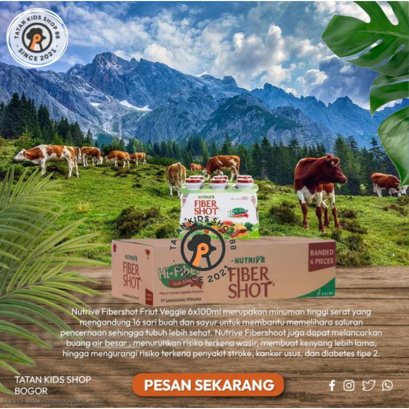 Jual Nutrive Fiber Shot Veggie 36botol 100ml 1 Dus Karton | Shopee ...