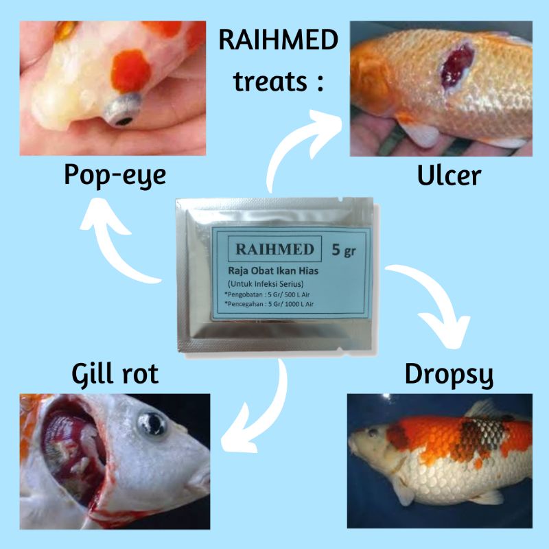 Jual Obat Antibiotik Ikan Hias RAIHMED untuk Infeksi Serius dan Parah ...