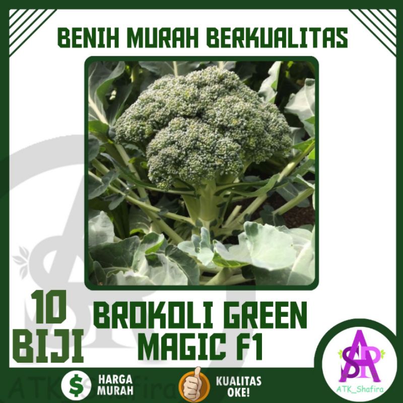 Jual TRIFARM 10 Biji Benih Bibit Brokoli Green Magic F1 Kemasan Ziplock | Shopee Indonesia