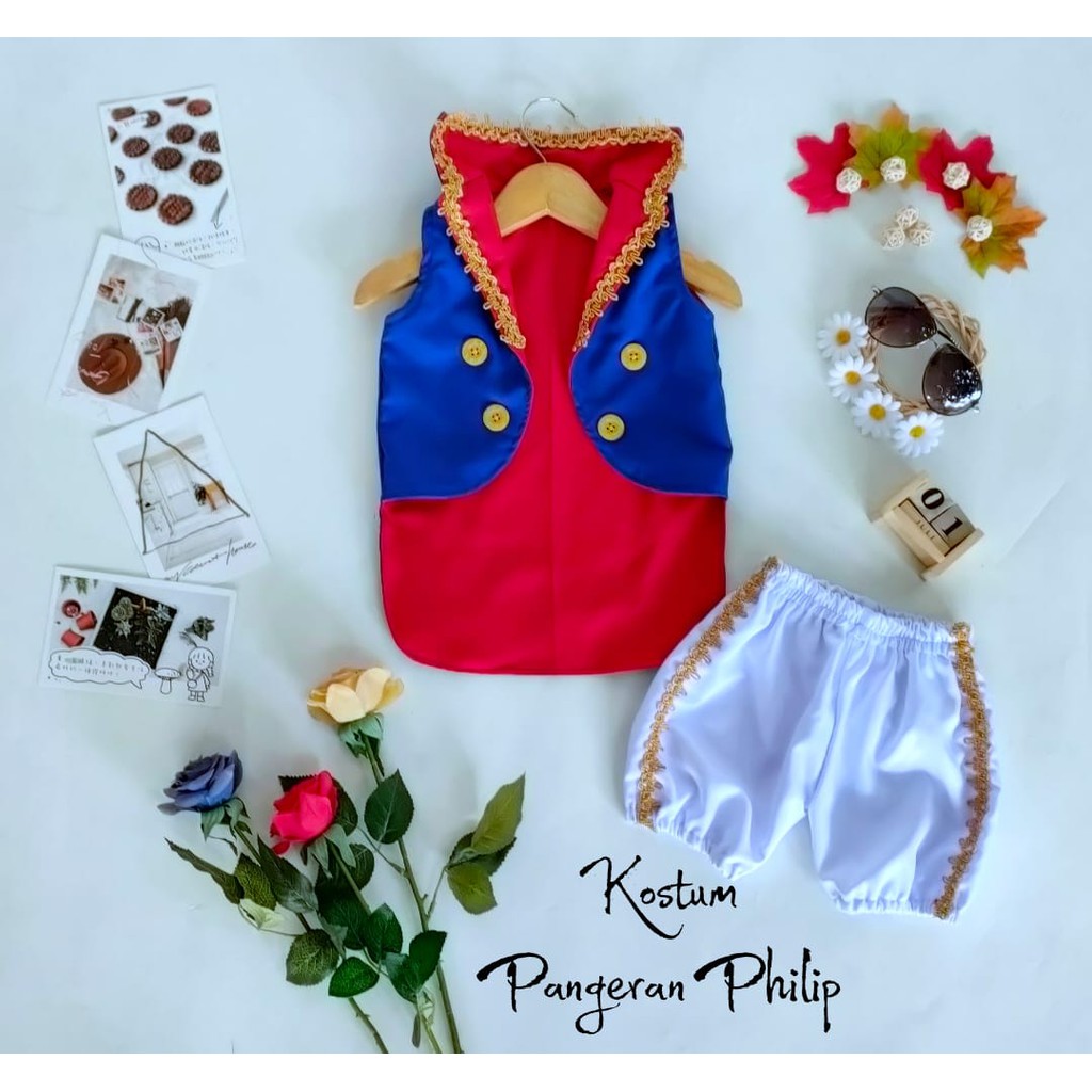 Jual Kostum Pangeran Philip | Baju Carnaval Anak | Kostum Karnaval ...