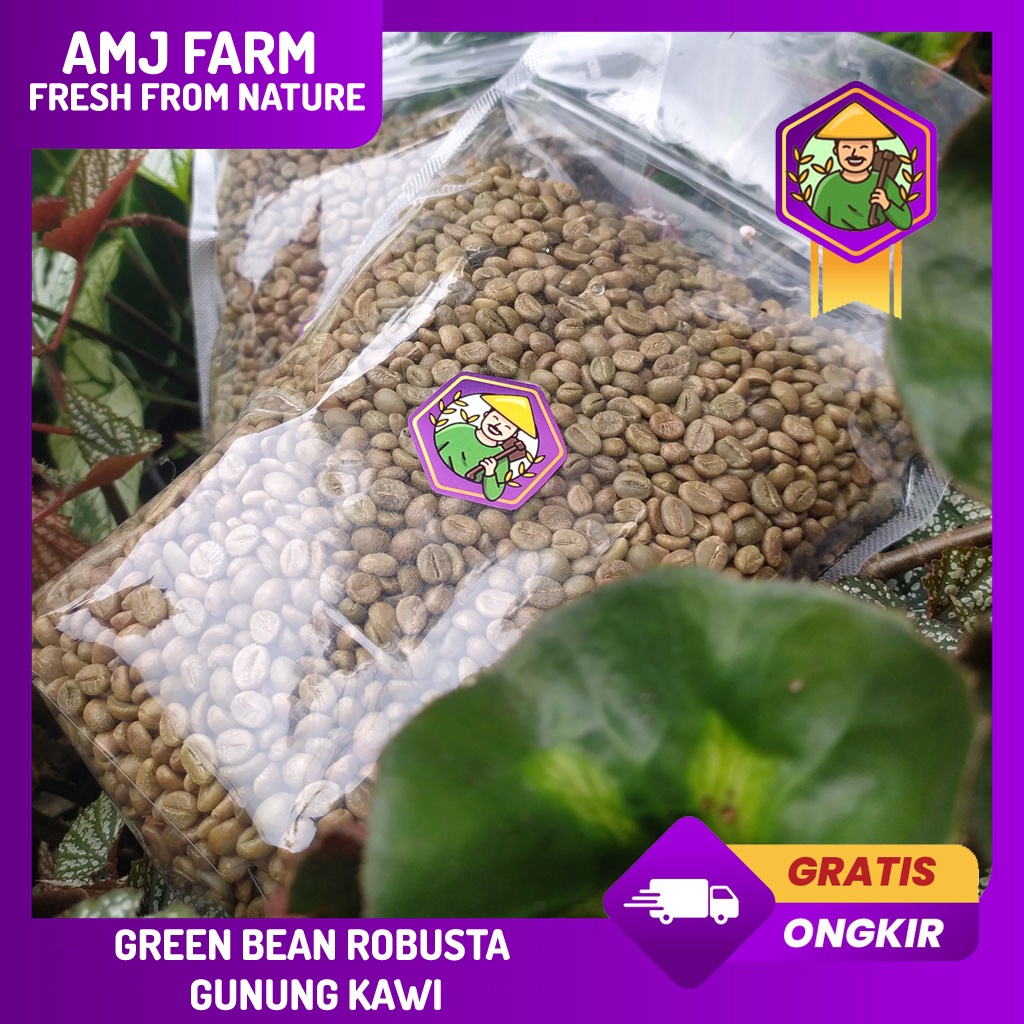 Jual PREMIUM QUALITY 1 Kg Green Bean Kopi Robusta Gunung Kawi / Kopi ...