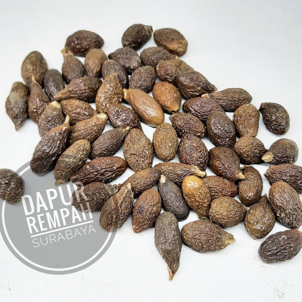 Jual BUAH TEMPAYANG BUNGA TEMPAYAN MALVA NUT TEMPOYANG BENG TA HAI ...