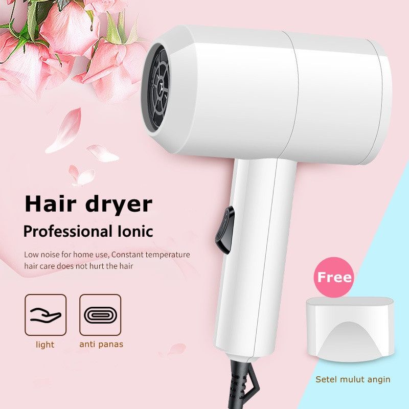 Jual Alat Pengering Rambut Portable/Professional Ionic Hair Dryer ...