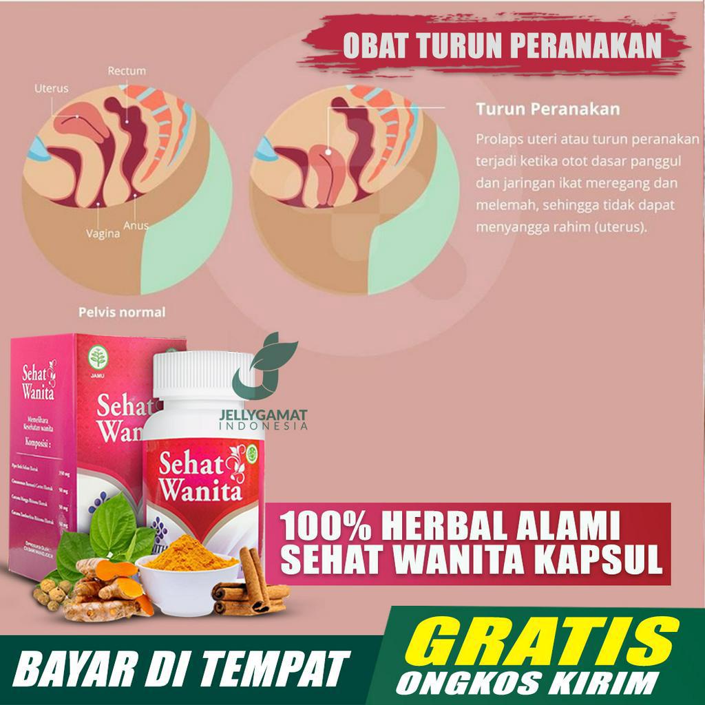 Jual Obat Turun Rahim - Benjolan di Vagina - Peranakan Turun yang Aman ...