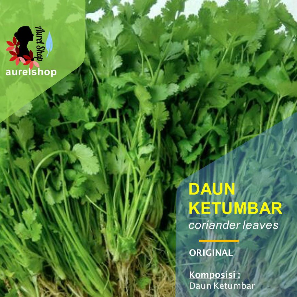 Jual Daun Ketumbar / Wansui / Wansuy / Coriander Segar kemasan 1 kg ...