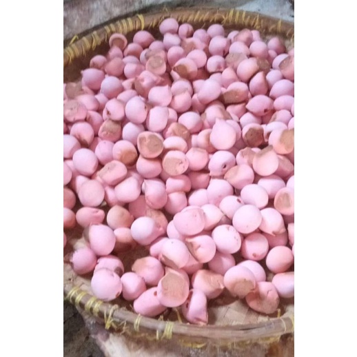 Jual nopia khas banyumas | Shopee Indonesia