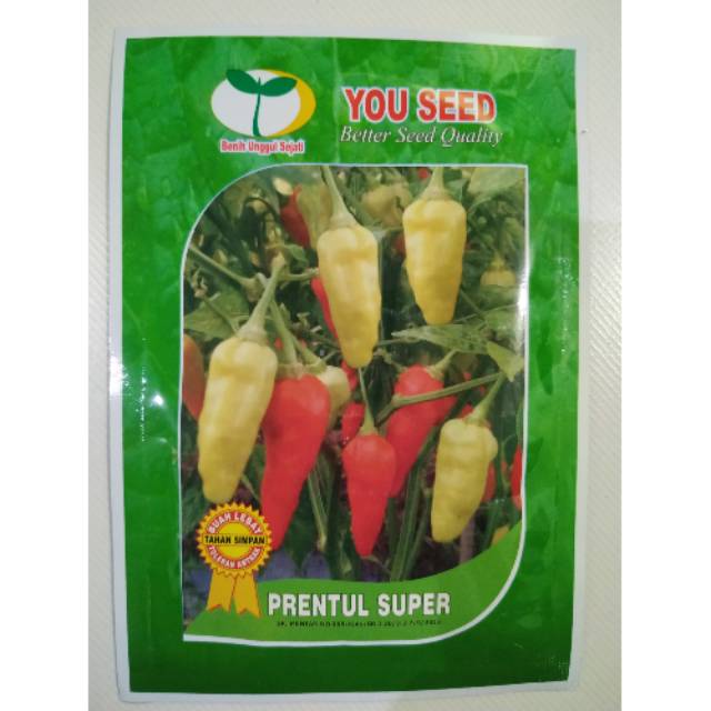 Jual Cabe Rawit Prentul | Shopee Indonesia