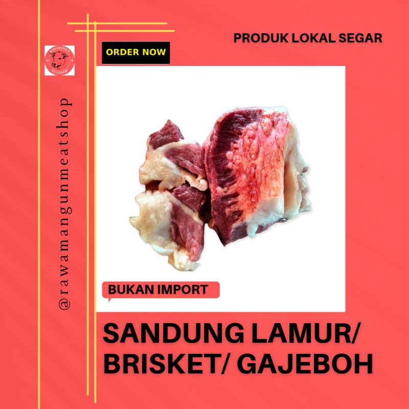 Jual (beef) Daging sapi lokal segar sandung lamur / brisket beef ...