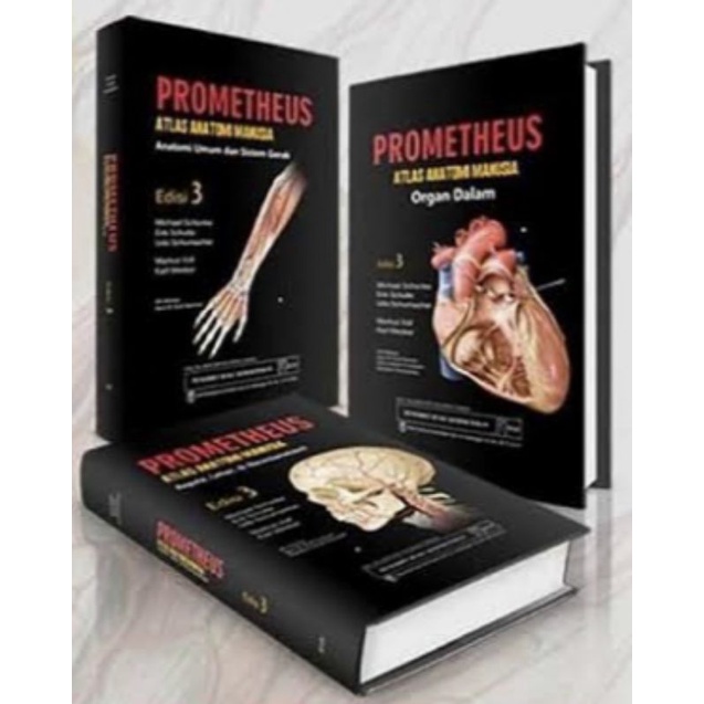Jual Prometheus Atlas Anatomi Manusia Edisi 3 (3 Buku) | Shopee Indonesia