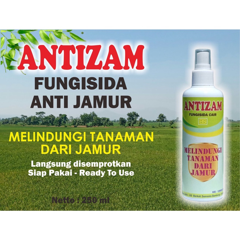 Jual Antizam Anti Jamur Spray 250 ml Anti Jamur Fungisida Melindungi ...